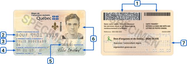 Five Essential Things for New Comers to Montreal - This is Montreal