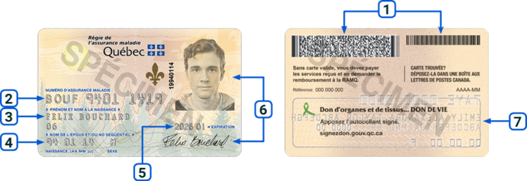 Five Essential Things for New Comers to Montreal - This is Montreal